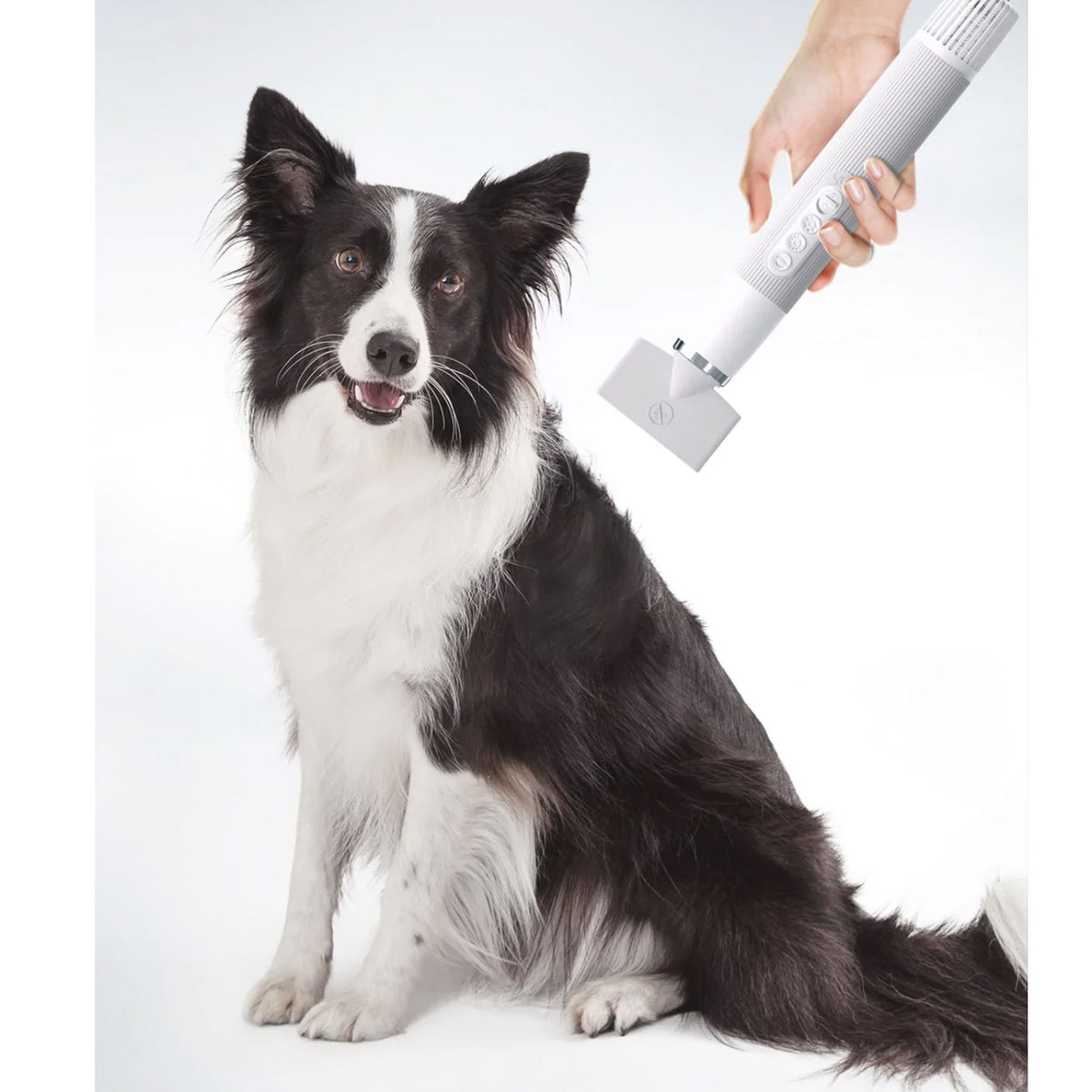 UAH PET Fluffy-1 Intelligent Temperature Control Pet Hair Dryer – Fluffurry